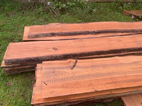 How Trees Sequester Carbon Straight From The Wood