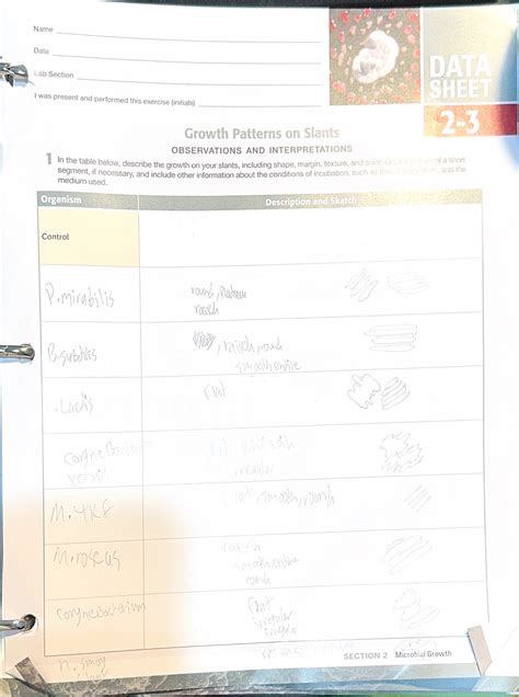 Microbiology Lab Data Sheet Growth Patterns And Selective Media Analysis