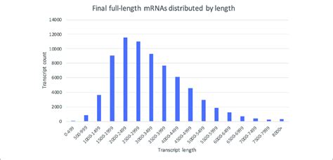 The Final Full Length MRNA Transcriptome Distributed By Transcript Download Scientific