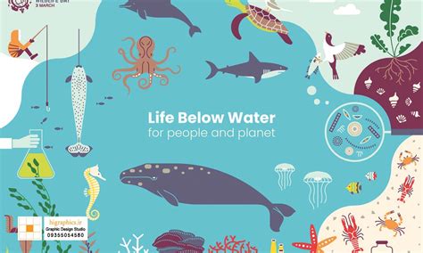 20 نمونه پوستر نمونه کار پوستر نمونه پوستر