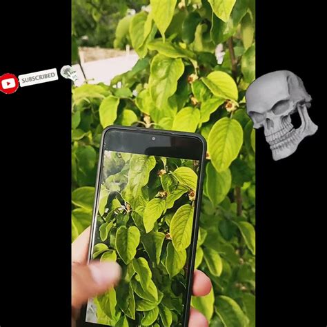 پکو X6پرو باشه 🫨☠️🫦 Youtube