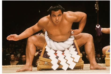 イケメン力士①例外ですが横綱大関から選びました横綱物語