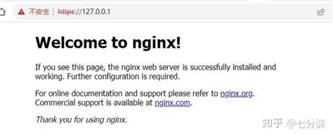 Window下nginx配置协议 知乎