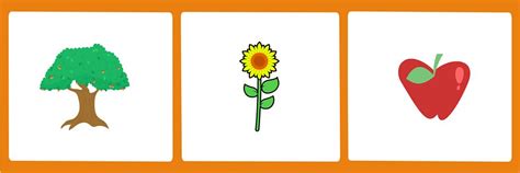 Pollination And Seed Spreading Bbc Bitesize