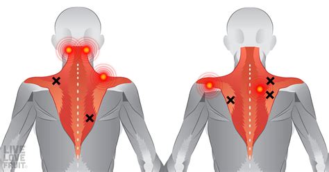 15 Stretches To Relieve Neck And Shoulder Pain Live Love Fruit