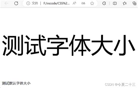 【前端】网页开发精讲与实战 Css Day 1 Csdn博客