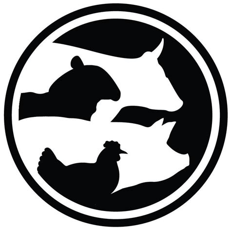 The Livestock The Steinbacher Kampfgänse Or Simply Steinbacher Goose