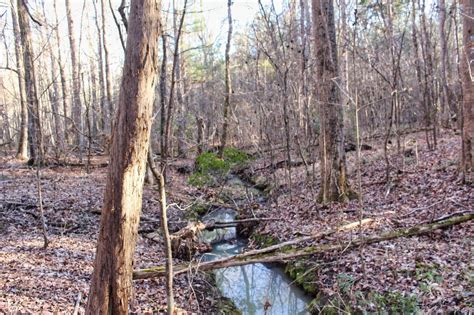 Five Notch Rd WP Bradley SC See Est Value Babes More