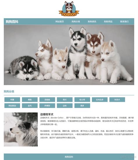 Web前端期末大作业 Htmlcssjavascript网页设计实例 宠物狗网站制作qq616d257f0a943的技术博客51cto博客