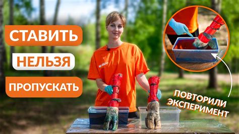 ЭКСПЕРИМЕНТ | Так ли нужны предварительные копытные ванны? - YouTube