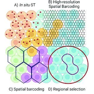 PDF Computational Solutions For Spatial Transcriptomics