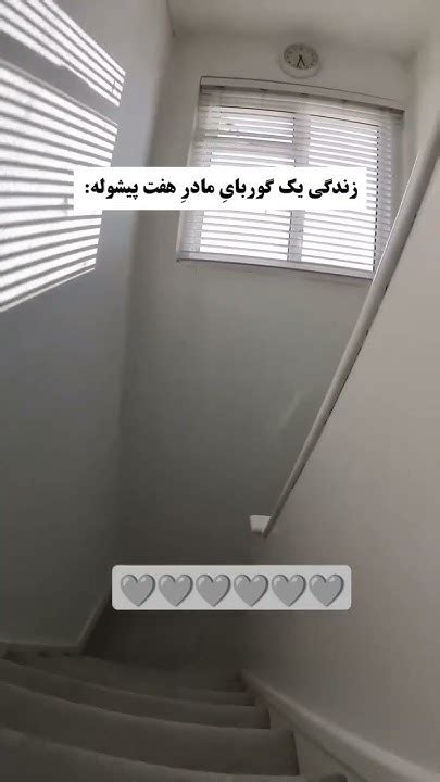 زندگی گربه مادر با هفت تا خر بچه ناز Youtube