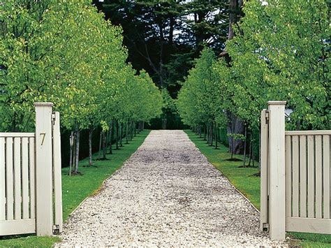 Tree Lined Driveway Ideas Lucinda Winfield
