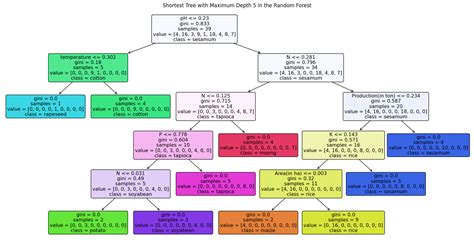 Shortest Tree With Maximum Depth 5 In The Studyx