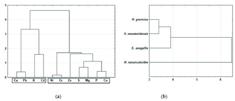 Dendrogram Of Heavy Metal And Nutrient Phytoremediation Index Bcf Download Scientific Diagram