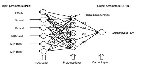 structure of a typical radial basis function network rbfn model download scientific diagram