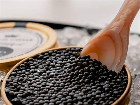 Luxe Downtown Austin Hotel Pops The Cork On Caviar And Bubbles Bar