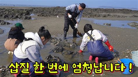 태풍 같은 바람에 바닷물이 싹 다 빠졌다 숨은 안주가 널려있다 Youtube