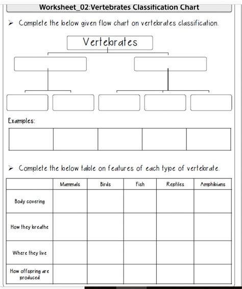 Classificaiton 441662 Amy Waters Live Worksheets