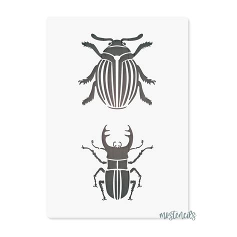 Stag Beetle Colorado Beetle Stencil A4 Reusable Etsy