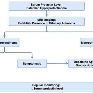 Diagnosis And Treatment Algorithm Diagram Representing The Suggested Download Scientific