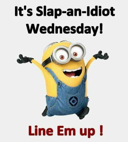 Pin By Felice Sedore On Minions Minion Jokes Fun Quotes Funny Funny