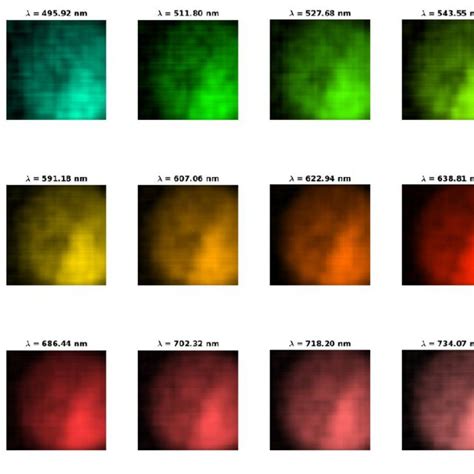Hyperspectral Reconstruction Of The Back Of A Hand With Light From A Download Scientific