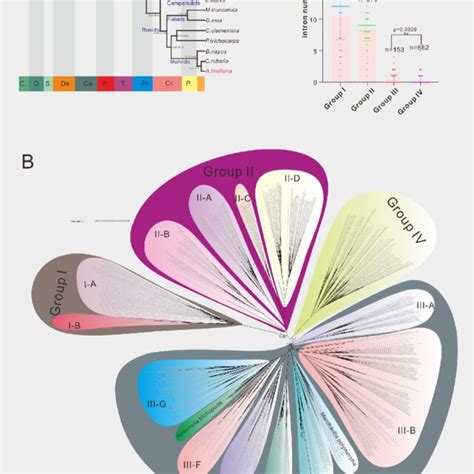 AlphaFold Predicted Structure Models Of Group I IV A D Group I Download Scientific Diagram