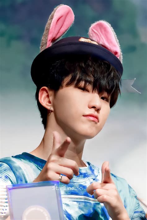 여우상 Vs 토끼상 아이돌 구별하는법 인스티즈 Instiz 이슈 카테고리