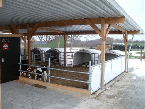 Загон для коров своими руками 68 фото красивые картинки и Hd фото