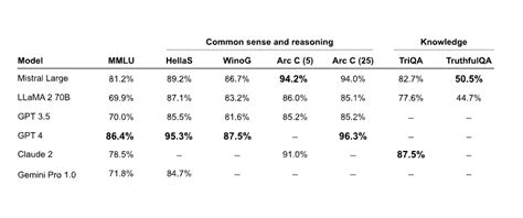 Mistral Large Prompt Engineering Guide