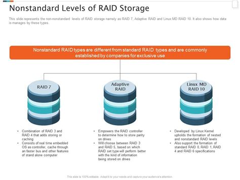 Raid Storage It Nonstandard Levels Of Raid Storage Ppt Powerpoint Portrait Presentation