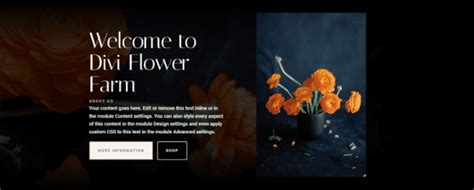 How To Style An Image In Your Divi Fullwidth Header Module