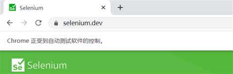 Selenium（一）13chromeoptions常用方法setexperimentaloption Csdn博客