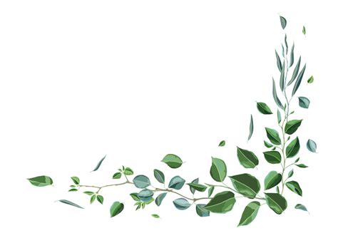 Branch With Leaves Vector Design Images Decoration With Branches And