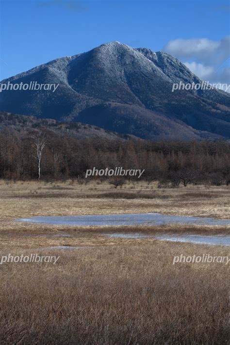 Photolibrary