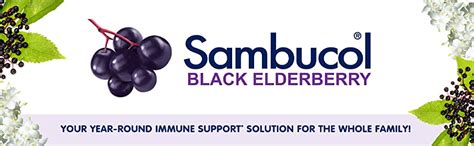 Sambucol Black Elderberry Immunity Powder Immune Support