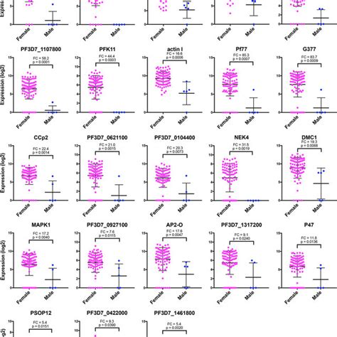 Individual Genes Exhibit Distinct Female Enriched Expression Patterns