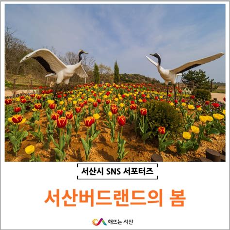 서산버드랜드의 봄 충청남도 서산시 웰로