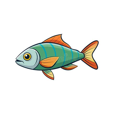 Indian Glassfish Stock Illustrations 12 Indian Glassfish Stock