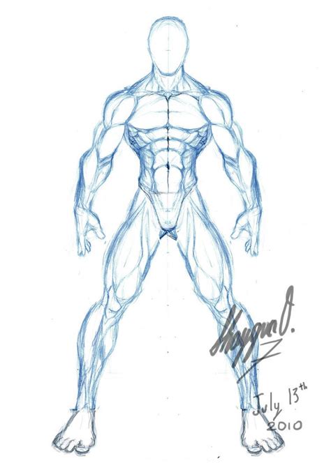 Male Anatomy Template Front By Shintenzu Male Figure Drawing Human