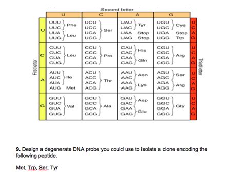 Solved 9 Design A Degenerate Dna Probe You Could Use To