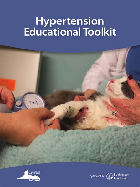 Aafp Hypertension Toolkit Full Pdf Hypertension Blood Pressure