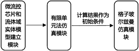Complex Micro Fluidic Chip Oriented Multiscale Coupling Simulation