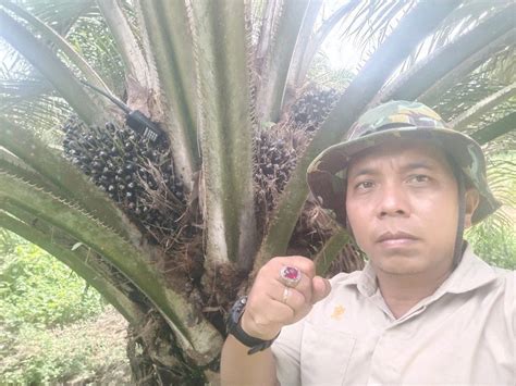 Lets Do It Again 💪 Daniel Sitorus