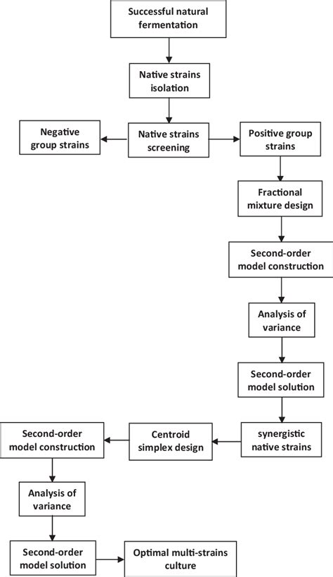 Sequential Two Stages Experimental Strategy To Construct Multistrains