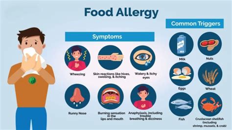 Understanding Food Allergies The Science Explained Quill Of Grubs