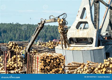 Forest Industry Operations For Loading Unloading Logging Truck Stock