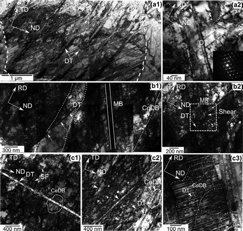 Bright Field Tem Images Showing The Morphology Of Deformation Twins Download Scientific Diagram