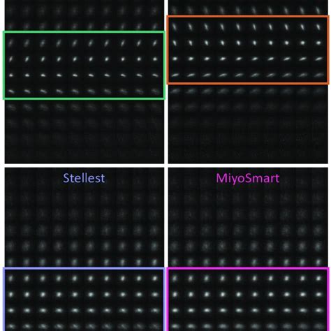 Peripheral Through Focus Double Pass Point Spread Functions Psfs In